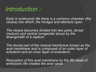ANORECTAL MALFORMATIONS | PPTX
