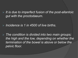 ANORECTAL MALFORMATIONS | PPTX