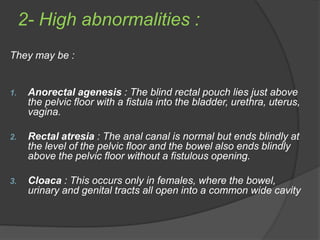 ANORECTAL MALFORMATIONS | PPTX