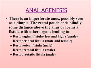 anorectal Malformations. An imperforate anus or anorectal malformations ...