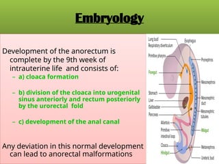 anorectal Malformations. An imperforate anus or anorectal malformations ...