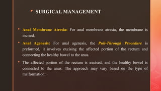 ANORECTAL MALFORMATIONS: NURSING MANAGEMENT PPT.pptx