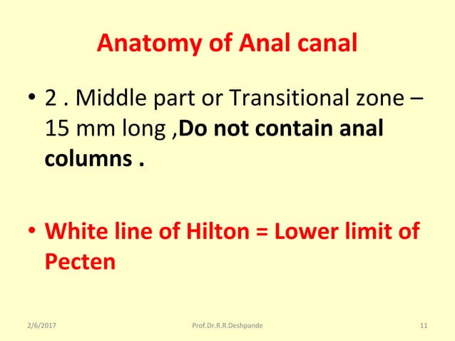 Ano rectal problems ppt | PDF | Digestive Disorders | Diseases and ...