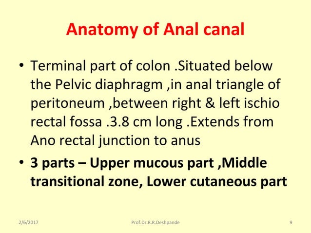 Ano rectal problems ppt | PDF | Digestive Disorders | Diseases and ...
