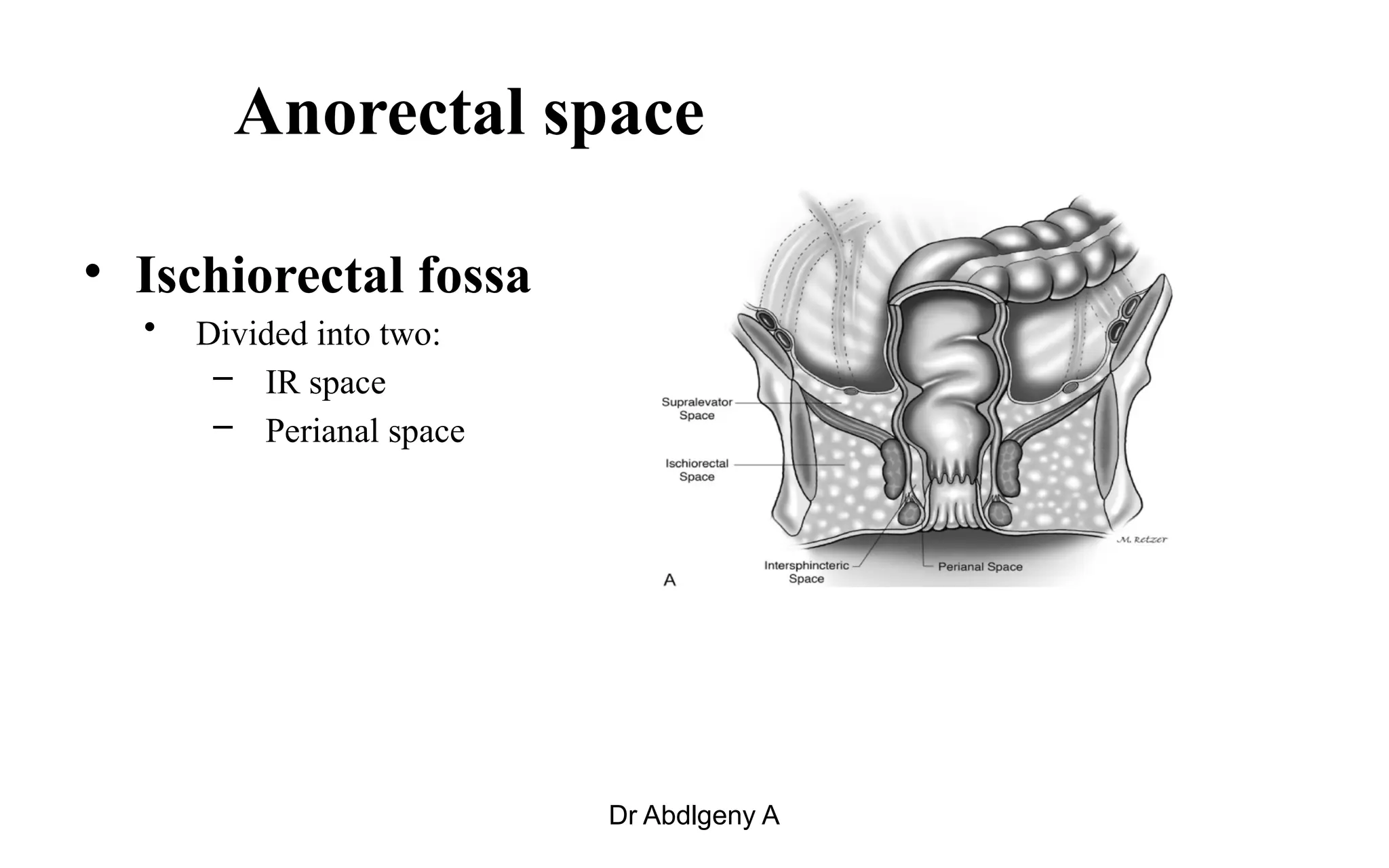 Anorectem and Pelvic floor Anatomy . ABD.pptx