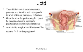 Anorectem and Pelvic floor Anatomy . ABD.pptx