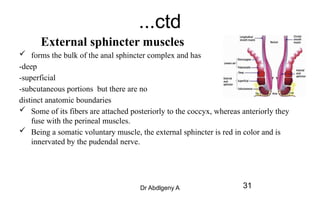 Anorectem and Pelvic floor Anatomy . ABD.pptx
