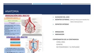 ANORECTOPLASTIA PRIMARIA.pptx