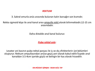 Anorektal hastalıklar(fazlası için www.tipfakultesi.org) | PDF