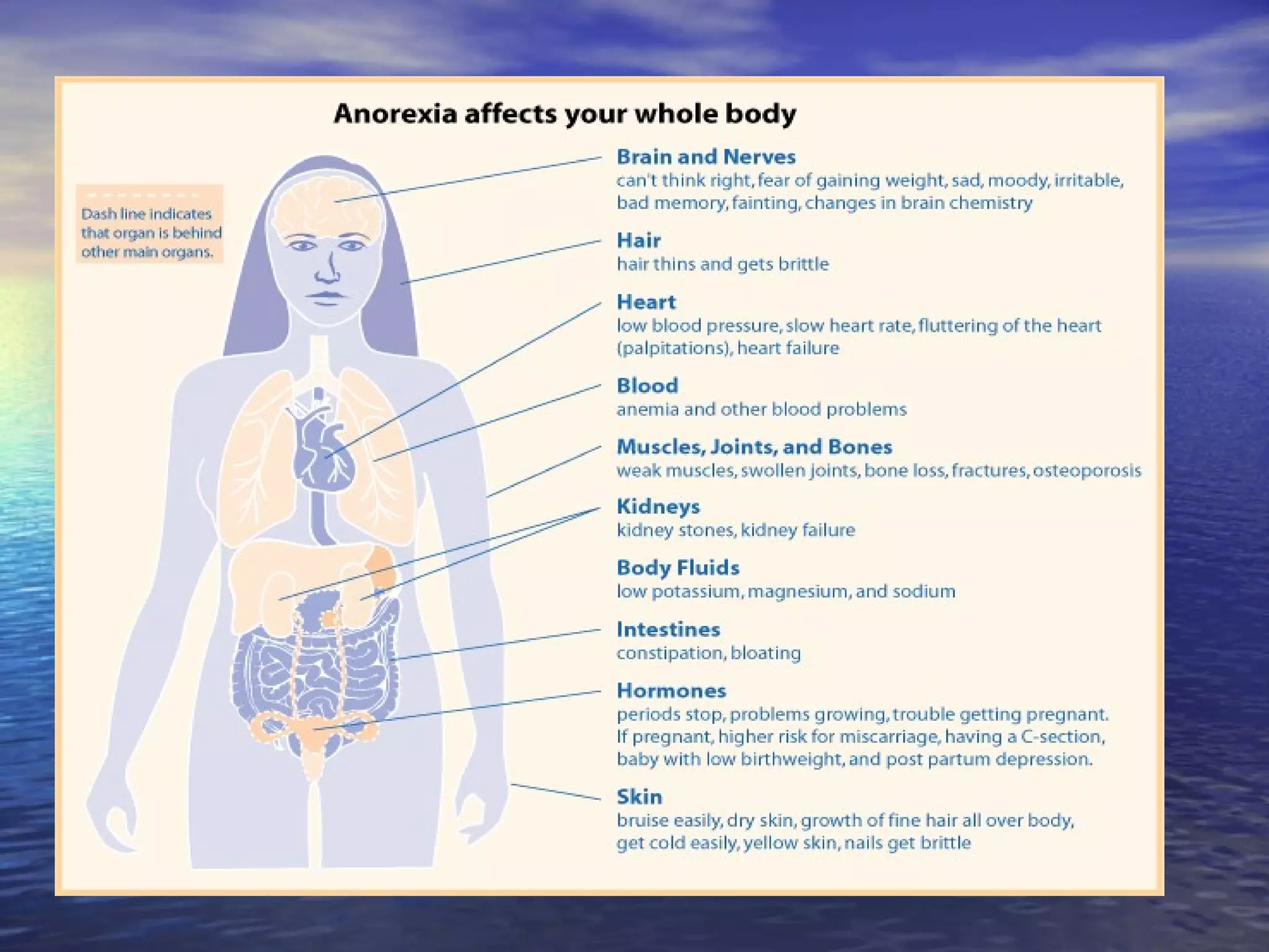 Anorexia & menstrual cycle | PPT