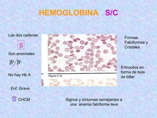 Cristales De Hemoglobina C