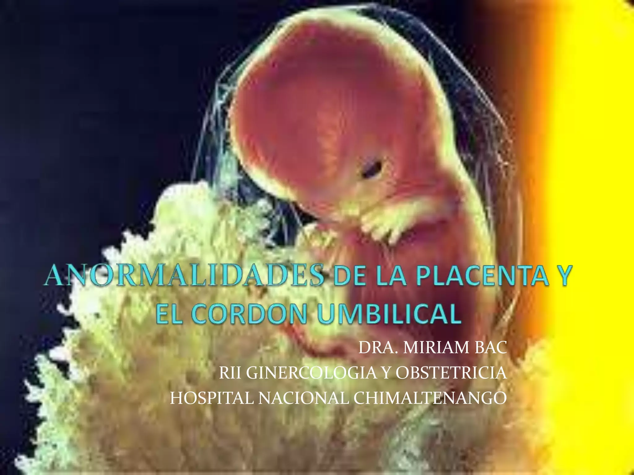 Anormalidades De La Placenta Y El Cordon Umbilical Ppt