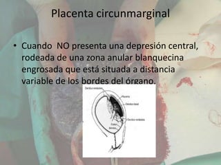 Anormalidades de placenta | PPTX