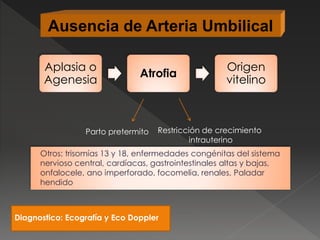 Anormalidades de placenta cordon y liquido | PPTX