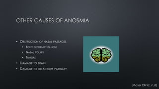 Anosmia Overview | PPTX
