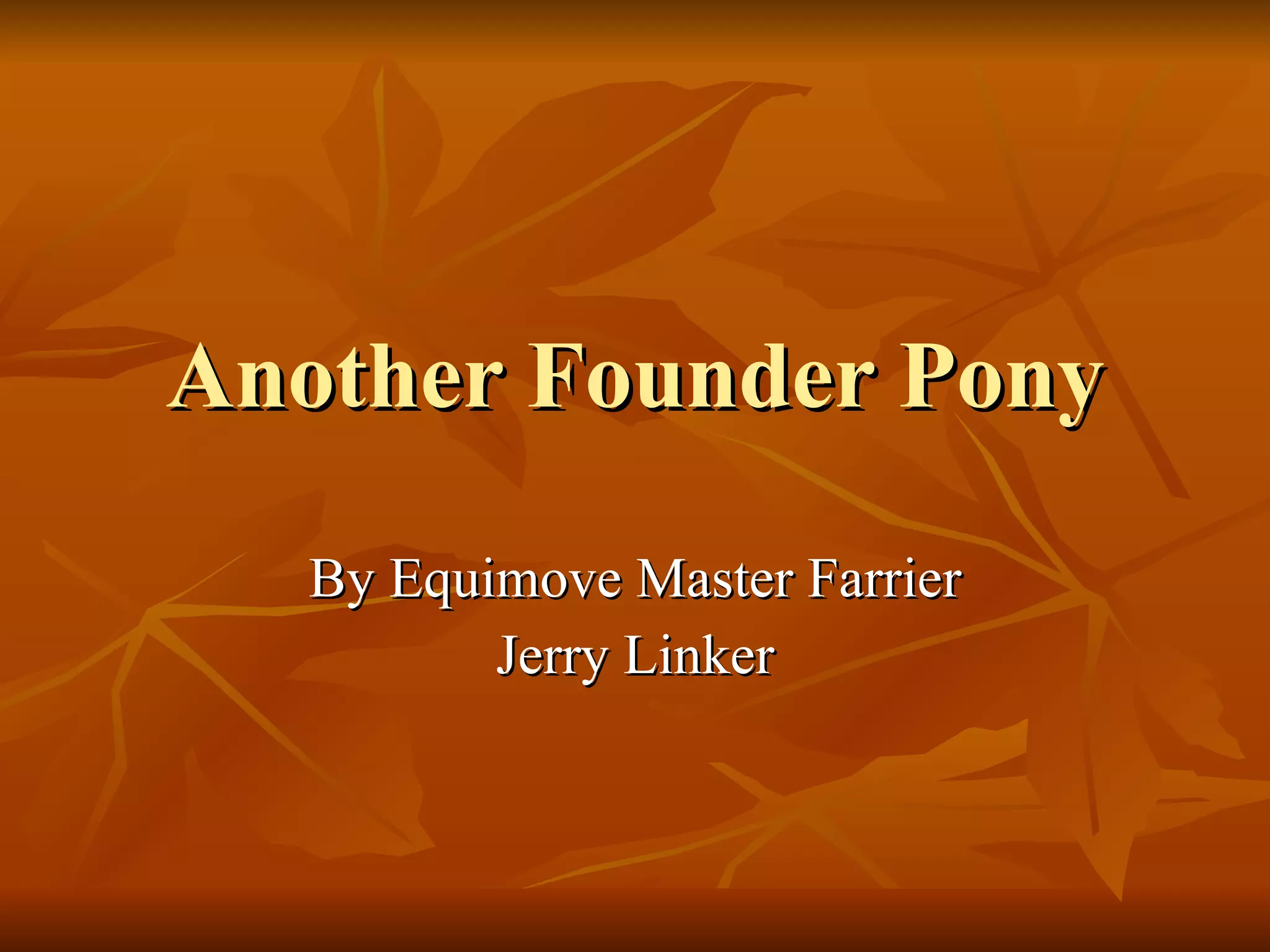 Another Founder Pony | PPT