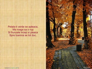 Anotimpuri | PPT