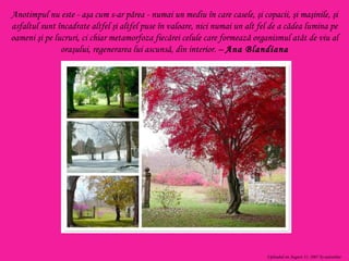 Anotimpuri | PPT