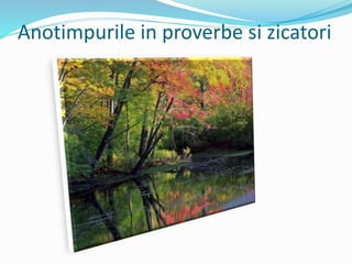Anotimpuri | PPTX
