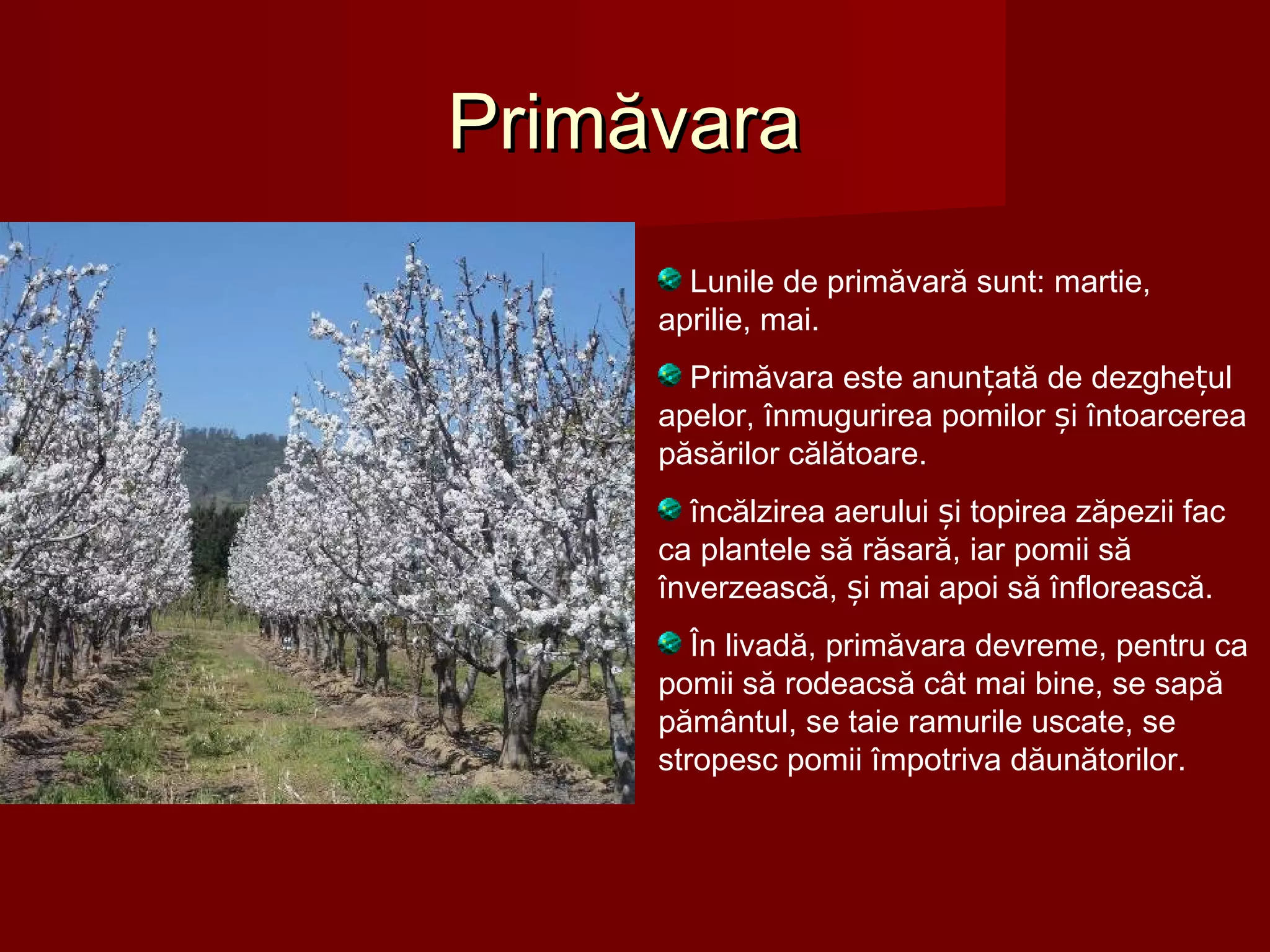 Anotimpuri+fenomene ale naturii | PPT
