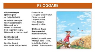 Anotimpuri pe ogoare_si_podgorii | PDF