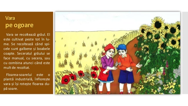 Anotimpuri pe ogoare_si_podgorii