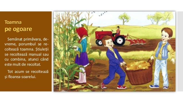 Anotimpuri pe ogoare_si_podgorii