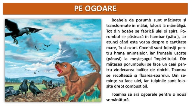 Anotimpuri pe ogoare_si_podgorii