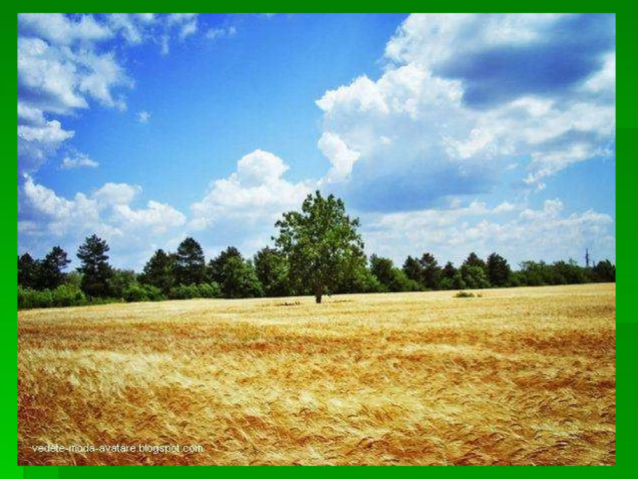 Anotimpuri redate in imagini | PPT