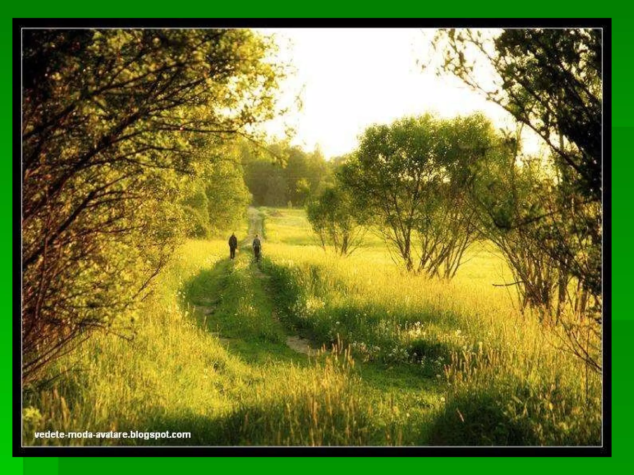 Anotimpuri redate in imagini | PPT