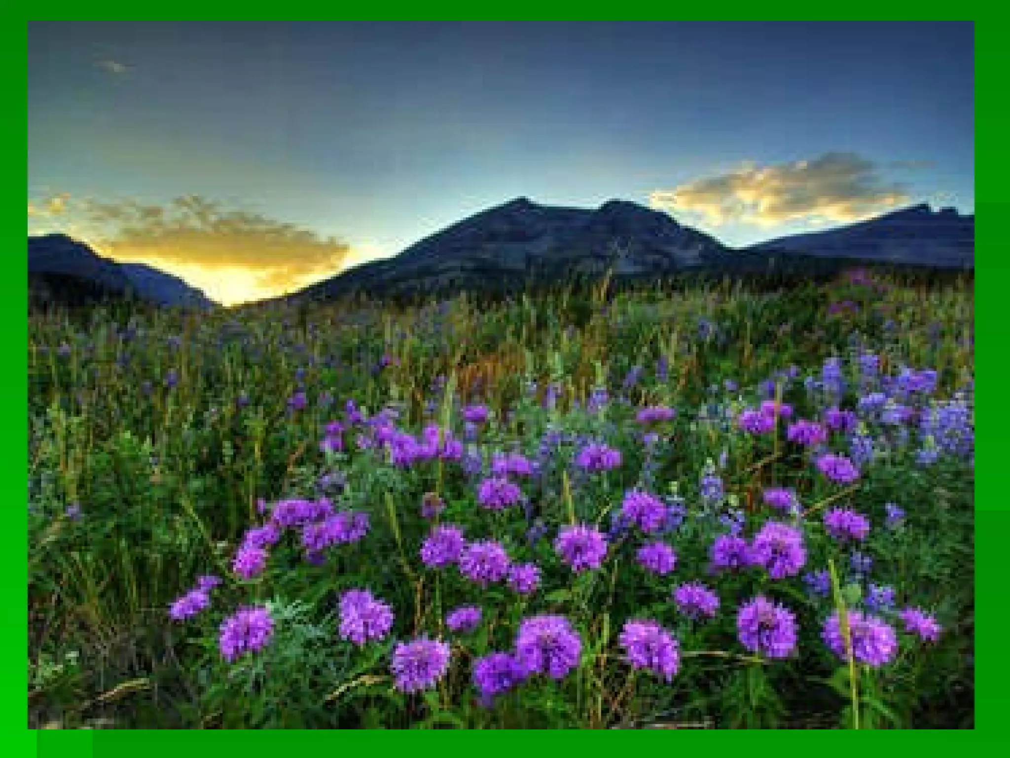 Anotimpuri redate in imagini | PPT