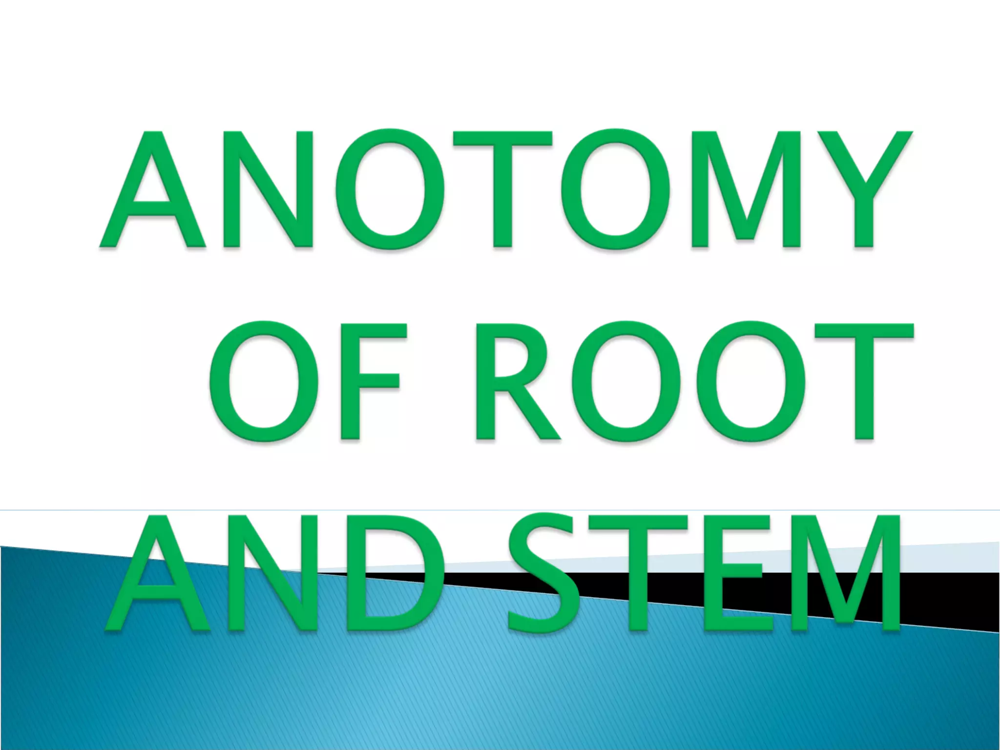 Anotomy of root and stem | PPT