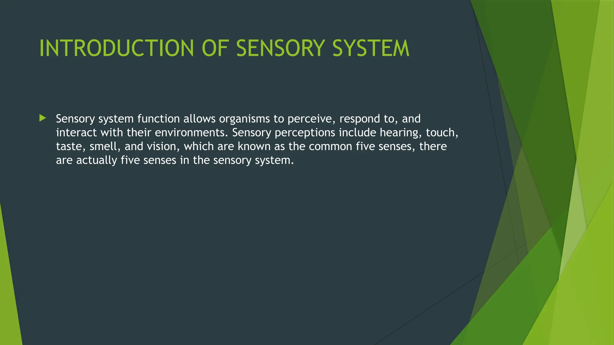 Skin Anatomy: A Detailed Guide to Layers, Structure, and Functions" | PPTX
