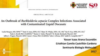An outbreak of burkholderia cepacia complex infections associated | PPT