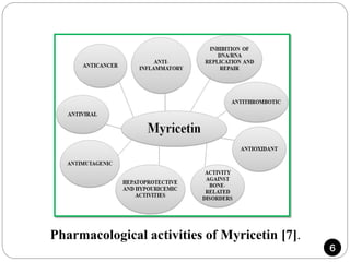 An outline on myricetin and its formulations ppt 4 amu | PDF