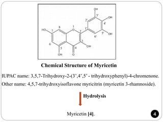 An outline on myricetin and its formulations ppt 4 amu | PPT