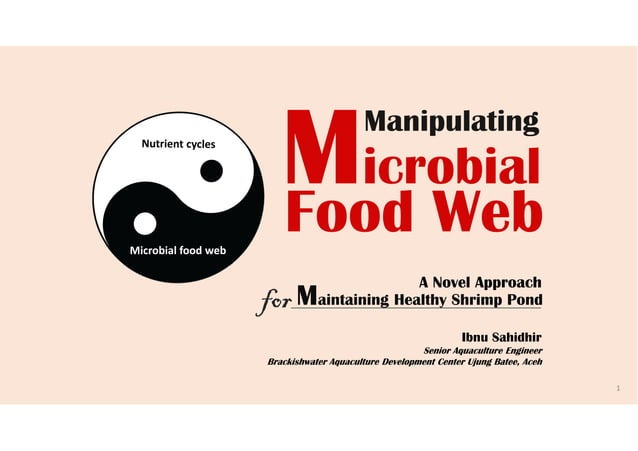 Microbial food web manipulation in pond water for healthy shrimp | PPT