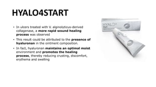 A Novel Enzymatic Debridement as Useful Tool for Tackling Hard to Heal ...