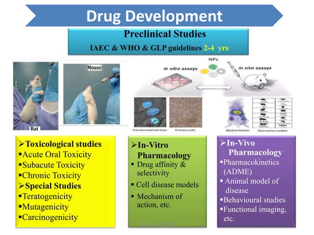 An overview of the New Drug Discovery & Development Process | PPT