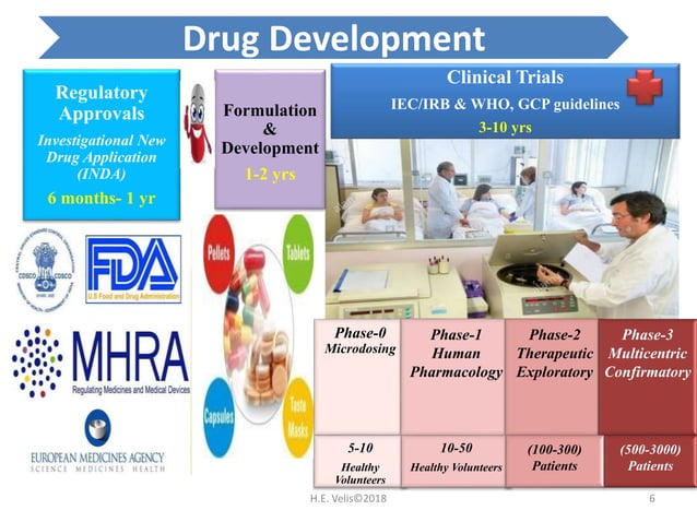 An overview of the New Drug Discovery & Development Process | PPT