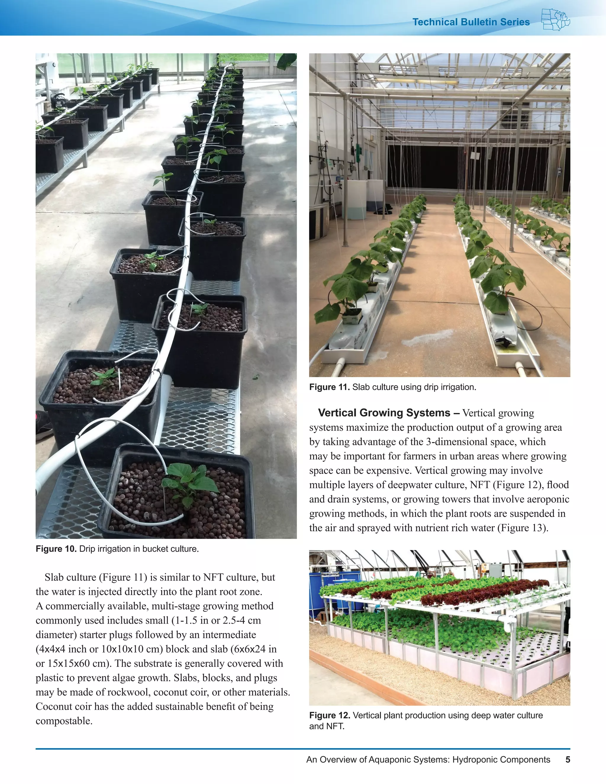 An Overview of Aquaponic Systems: Hydroponic Components | PDF