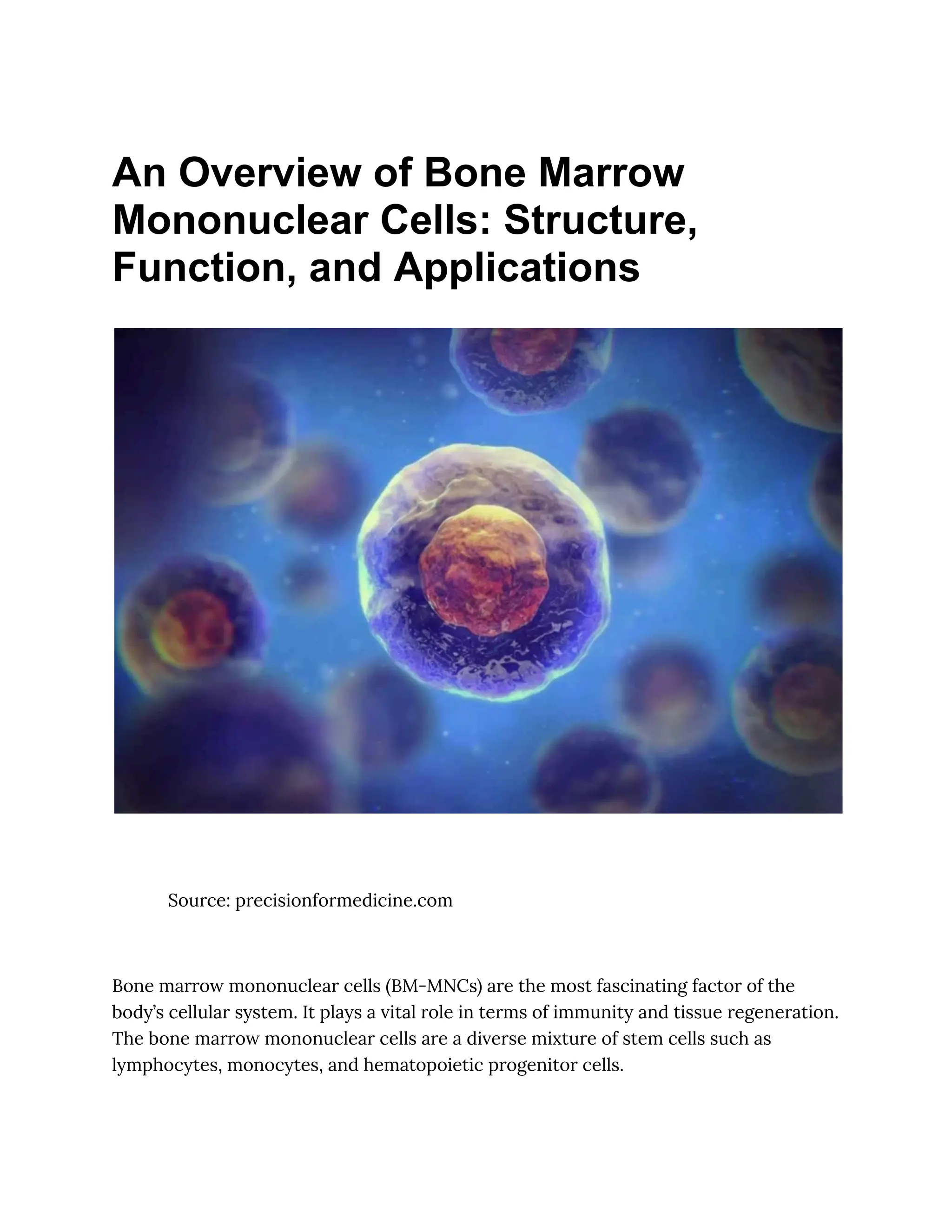An Overview of Bone Marrow Mononuclear Cells_ Structure, Function, and ...