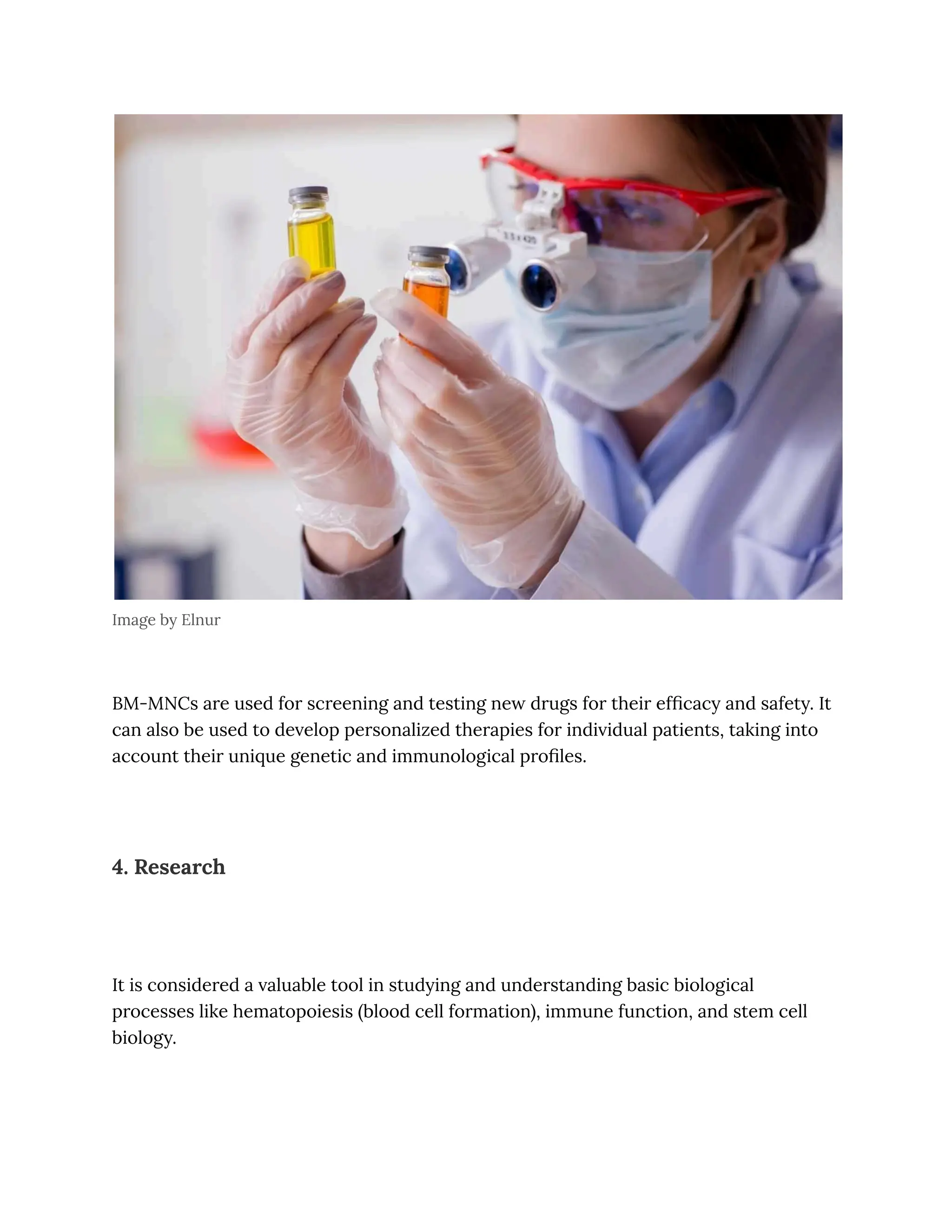 An Overview of Bone Marrow Mononuclear Cells_ Structure, Function, and ...