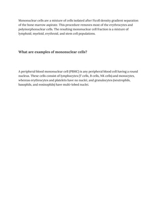 An Overview of Bone Marrow Mononuclear Cells_ Structure, Function, and ...