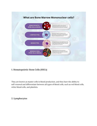 An Overview of Bone Marrow Mononuclear Cells_ Structure, Function, and ...