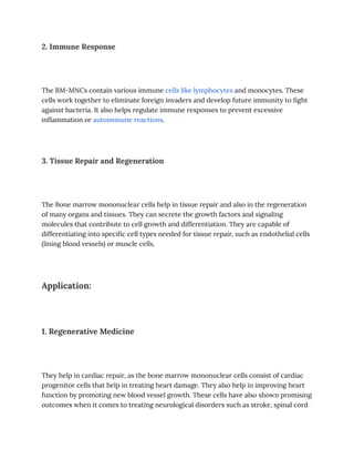 An Overview of Bone Marrow Mononuclear Cells_ Structure, Function, and ...