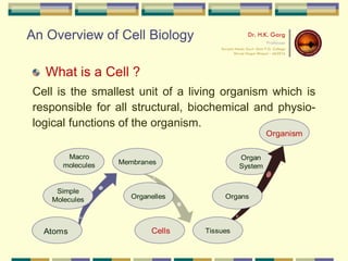 Cell Biology for Under-graduates - Dr HK Garg | PDF