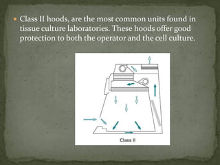 An Overview Of Cell Culture Extended-dikompresi.pdf