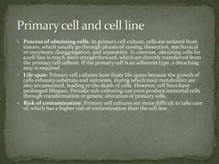 An Overview Of Cell Culture Extended-dikompresi.pdf | Biotech and ...