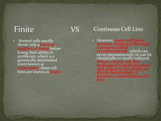 An Overview Of Cell Culture Extended-dikompresi.pdf | Biotech and ...